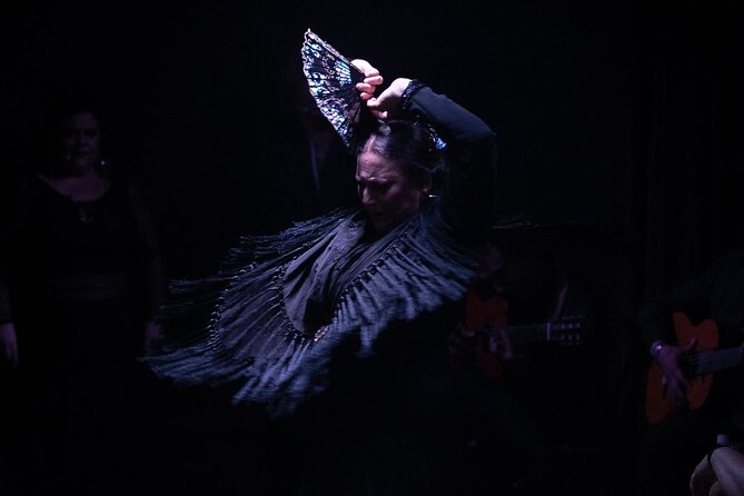 Flamenco Show at the Tablao Flamenco la Carmela - Final Thoughts