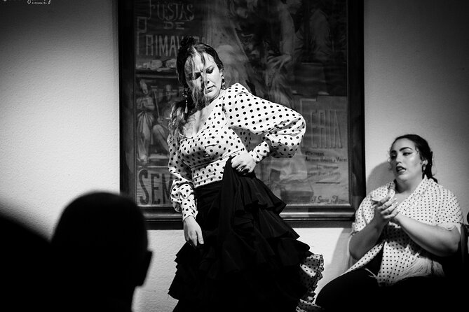 Flamenco Show in Seville - The Milonga Tablao - Accessibility and Participant Information