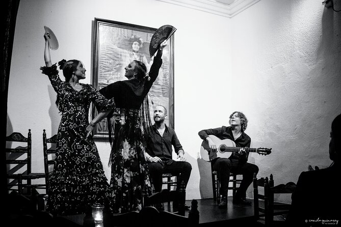 Flamenco Show in Seville - The Milonga Tablao - Performer Profiles