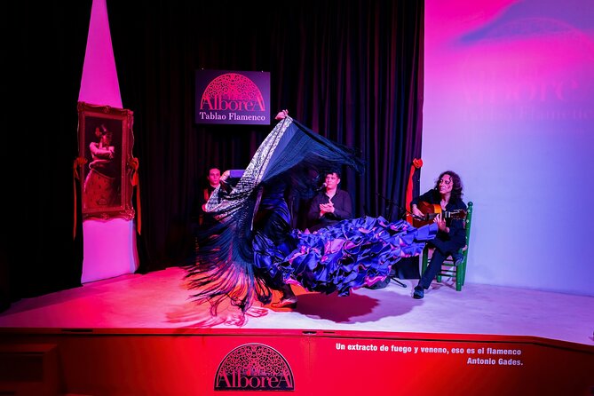 Flamenco Show in the Center of Granada - Navigating Venue Conditions