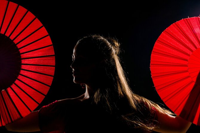 Flamenco show & tasting Tapas with panoramic views in Madrid - Key Points