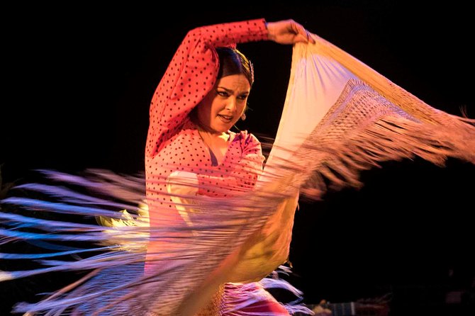 Flamenco Show Ticket at Theatre Barcelona City Hall - Planning Your Visit