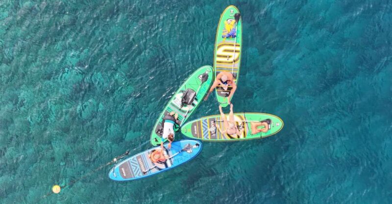 Flamingo Beach: Guided SUP and Snorkeling experience - What Makes This Tour Stand Out?