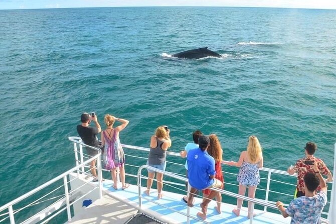 Flamingo Family Fun Catamaran Snorkel:Comfortable Shaded Seating - Inclusions