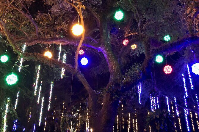 Flamingo Gardens' Garden of Lights - Practical Tips for Visitors