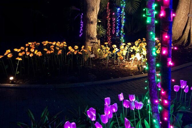 Flamingo Gardens' Garden of Lights - The Sum Up: Who Should Visit?