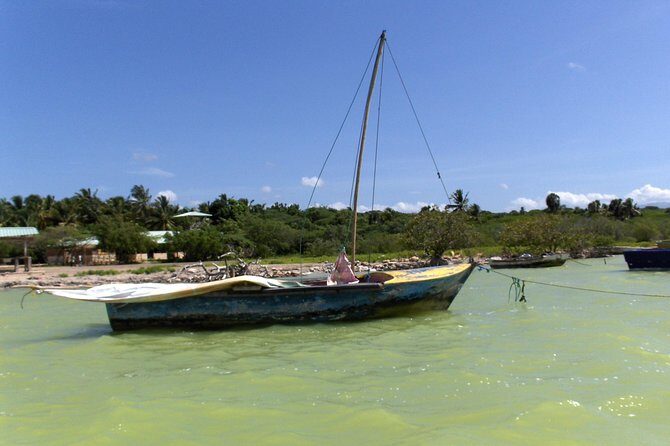 Flamingo Island - Laguna Oviedo - Why This Tour Works — and Why It Might Not