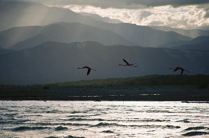 Flamingo Island - Laguna Oviedo - Who Should Consider This Tour