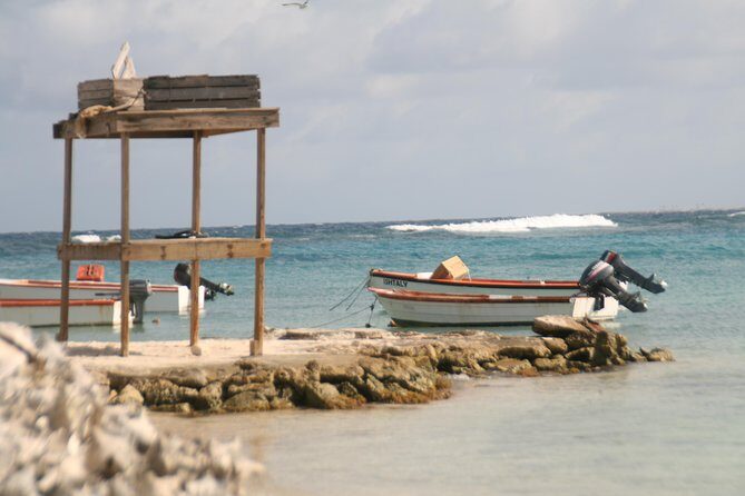 Flamingo & Mangrove Trip with Local Guide - Final Thoughts: Is It Worth It?