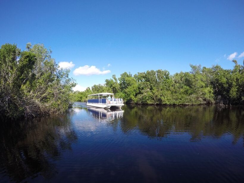 Flamingo Marina: Backcountry Boat Tour of the Everglades - Breakdown of the Itinerary