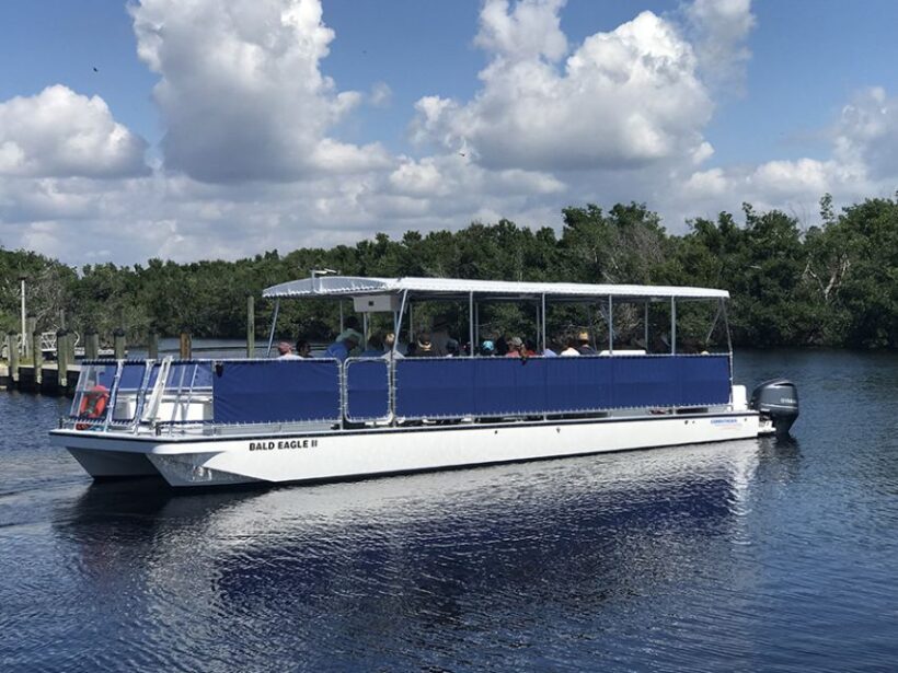 Flamingo Marina: Backcountry Boat Tour of the Everglades - Final Thoughts: Who Will Love This Tour?