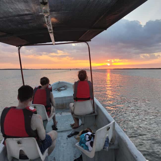 Flamingo tour Rio Lagartos, Yucatan 2 hours - Key Points