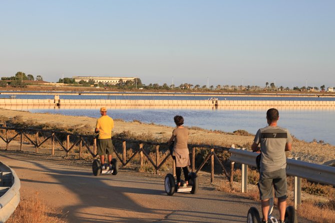 Flamingos Sightseeing Segway Tour - Observing the Flamingo Breeding Grounds