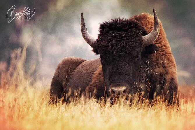 Flathead Lake & Bison Range Scenic Driving Tour - Key Points