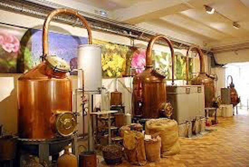 Flavor & Taste of Provence - Tourrettes-sur-Loup: The Violet Capital