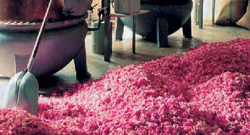 Flavor & Taste of Provence - Considerations to Keep in Mind