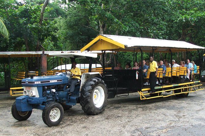 Flavors of Jamaica Food Tour from Falmouth - An Authentic Taste of Jamaica: What to Expect