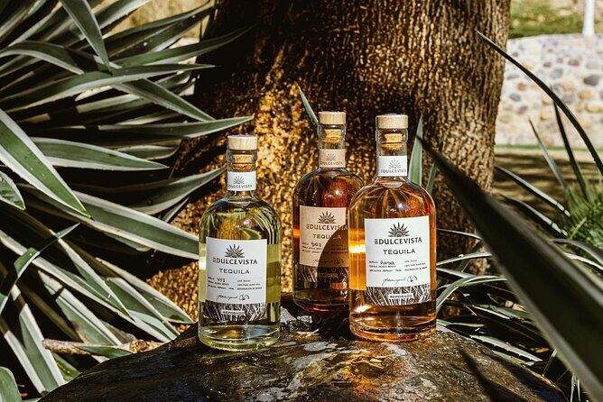 Flavors of Vallarta: A Churro, Tequila & Taco Adventure - A Flavorful Introduction to Puerto Vallarta’s Culinary Scene