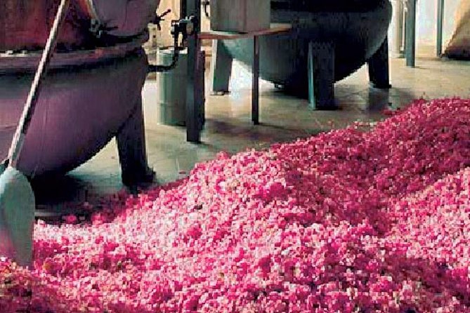 Flavors & Tastes of Provence , Shared & Guided 1/2 Day from Nice - Who Will Enjoy This Tour?