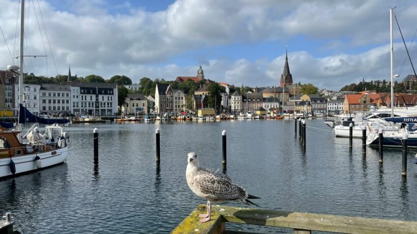 Flensburg: Running tour with insider tip guarantee - Itinerary Breakdown