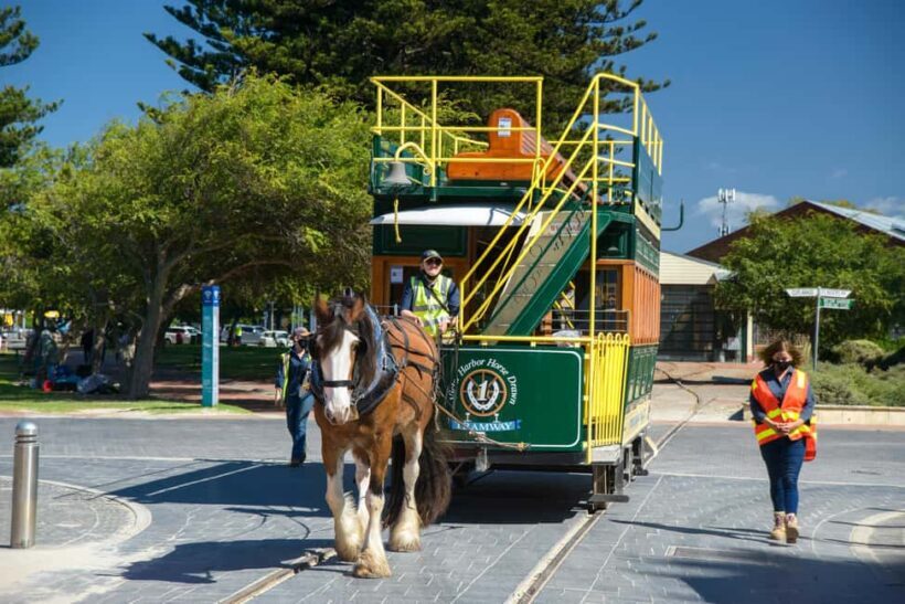 Fleurieu Peninsula: A Memorable Journey - An In-Depth Look at the Fleurieu Peninsula Tour