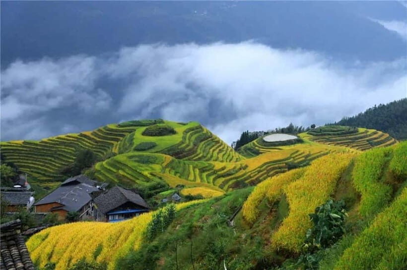 Flexible Days:Guilin Longji Terraces,Fenghuang & Zhangjiajie - A Detailed Look at the Tour Experience