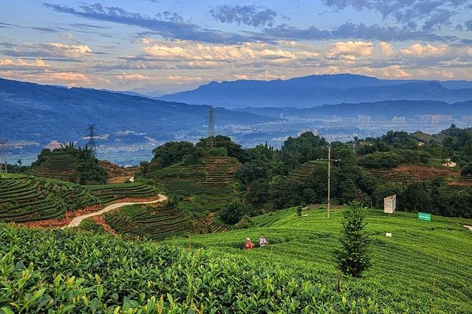 Flexible Hangzhou Private Day Tour with Lunch - Who This Tour Suits Best