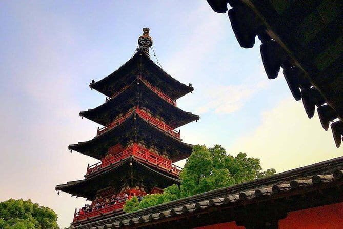 Flexible Suzhou Private Tour from Shanghai with First Class Bullet Train Option - The Journey Begins: Seamless Transportation and First Impressions