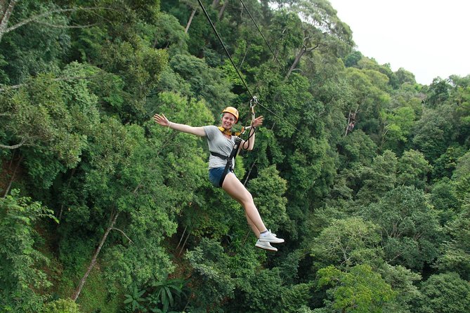Flight of the Phoenix: Zipline Experience - Exploring the Details of the Zipline Adventure