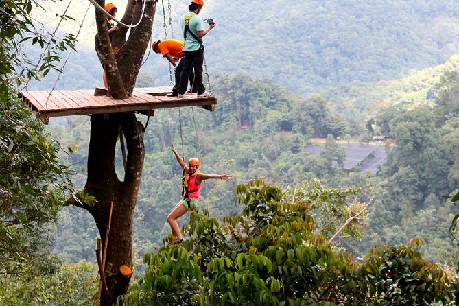 Flight of the Phoenix: Zipline Experience - Who Would Enjoy This Experience?