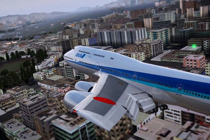 Flight Simulator Experience LONG RANGE 90 Minutes - Accessibility and Meeting Information