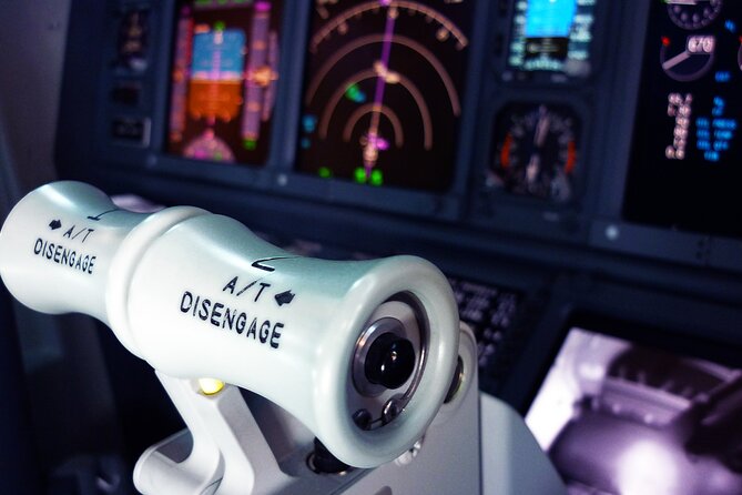 Flight Simulator HI SPEED for 30 Mins - About Your Stay