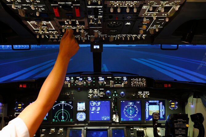 Flight Simulator HI SPEED for 30 Mins - The Role of the Professional B737 Pilot