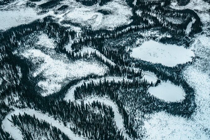 Flightseeing Day Trip from Fairbanks with Lunch - Final Thoughts
