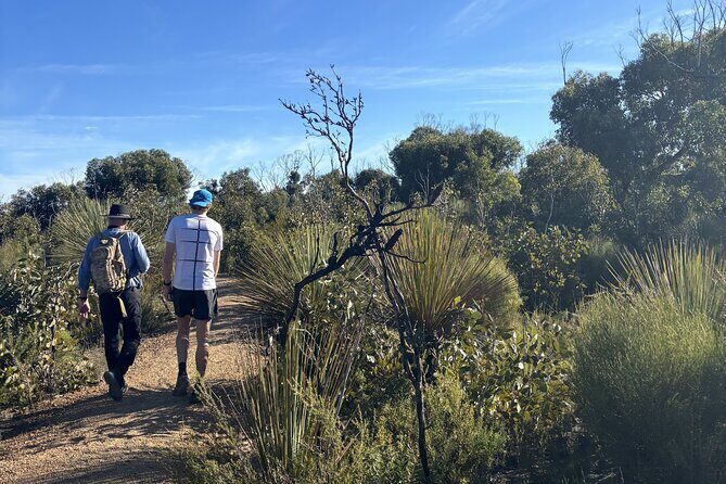 Flinders Chase Private Luxury Tour - What to Expect from the Flinders Chase Private Luxury Tour