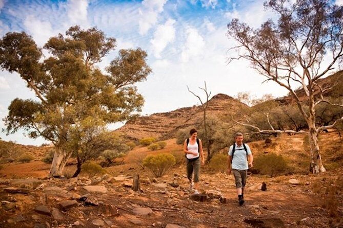 Flinders Ranges 3-Day Small Group 4WD Eco Tour from Adelaide - The Sum Up