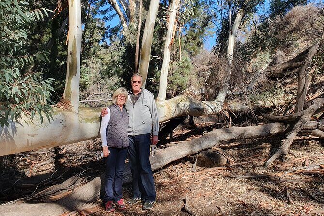Flinders Ranges 5-Day Small Group 4WD Eco Tour from Adelaide - Pricing and Overall Value