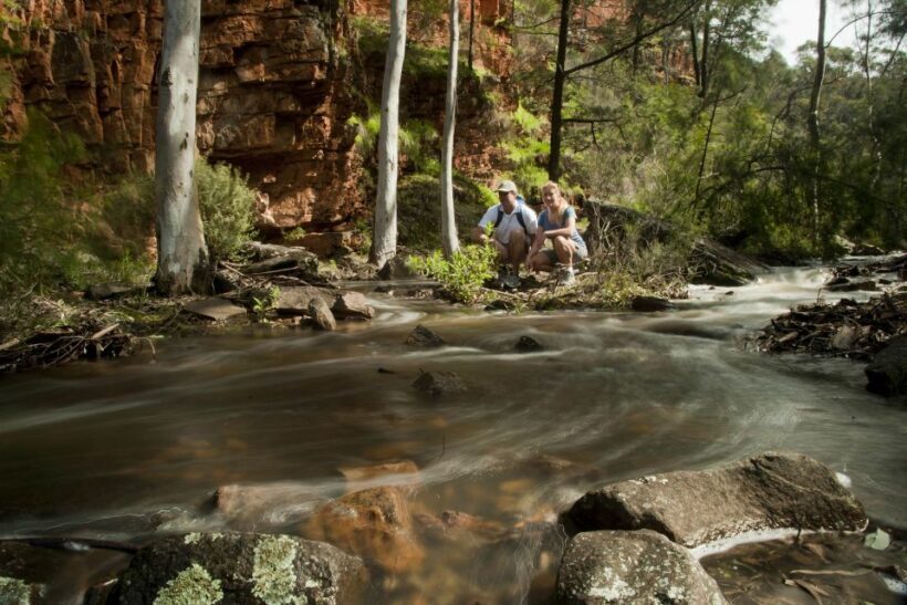 Flinders Ranges & Outback: 3-Day 4WD Tour from Adelaide - Who Would Benefit Most from This Tour?