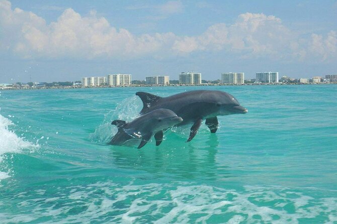 Flippers Adventures 2 Stop Snorkeling and Dolphin Cruise - Recommended Attire and Tipping