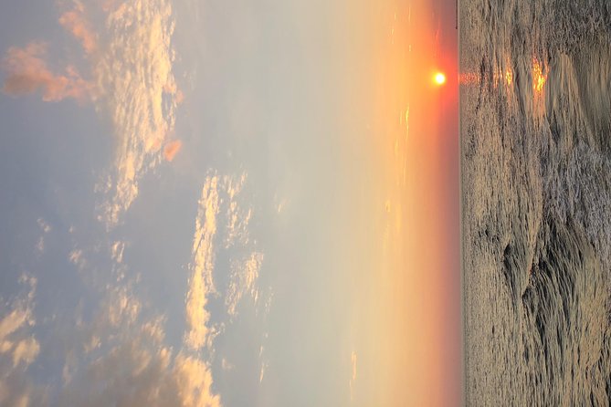 Flippers Adventures Dolphin Cruise - Details About the Boat and Amenities