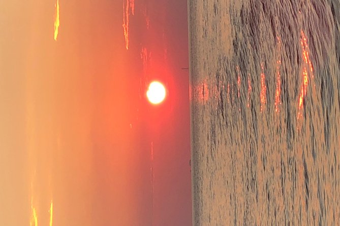 Flippers Adventures Dolphin Cruise - Recommendations for the Flippers Adventures Dolphin Cruise