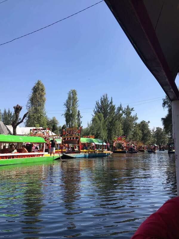 "Floating Party in Xochimilco: Canals, Tequila, and Tradition" - The Itinerary: What to Expect Step by Step