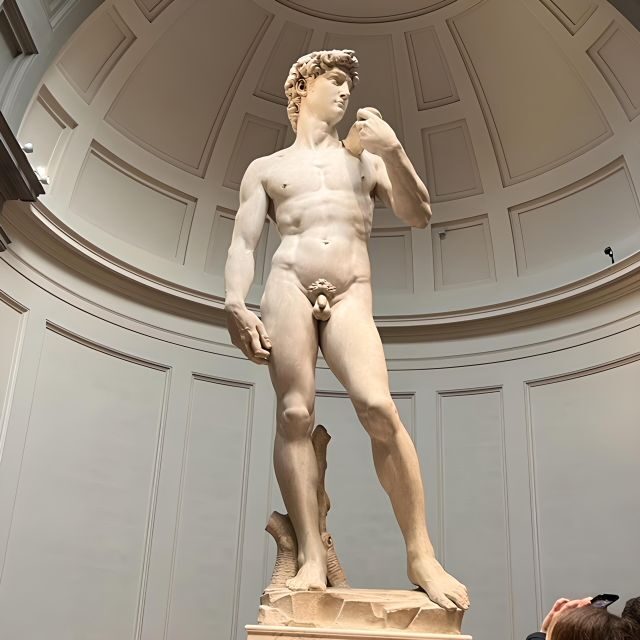 Florence: Accademia Reserved Ticket & Michelangelo's David - Who Should Consider This Tour?