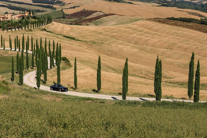 Florence Airport Private Departure Transfer Review - Customer Feedback