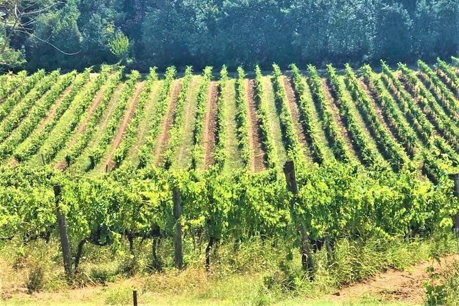 Florence and Pisa: Round Trip Tour from La Spezia Cruises - Analyzing the Value