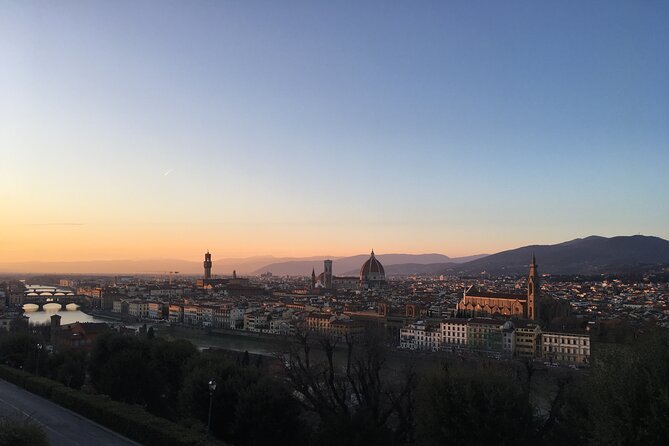 Florence and Pisa with Wine Experience Private Tour - Who Would Love This Tour?