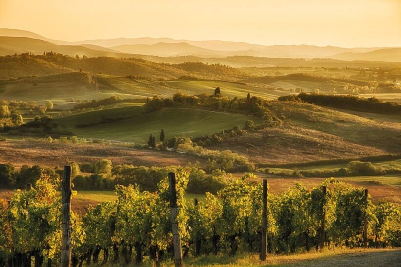 Florence/Badesse: Tuscany Group Vespa Tour with Wine Tasting - FAQ