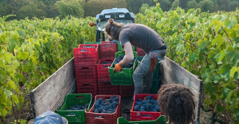 Florence: Chianti Classico Wine Region PRIVATE Tasting Trip - Authentic Experiences That Shine