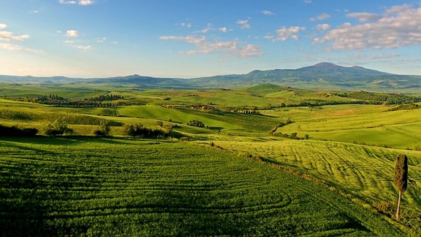 Florence: Chianti, Montalcino & Montepulciano Private Tour - Final thoughts: Who is this tour best suited for?