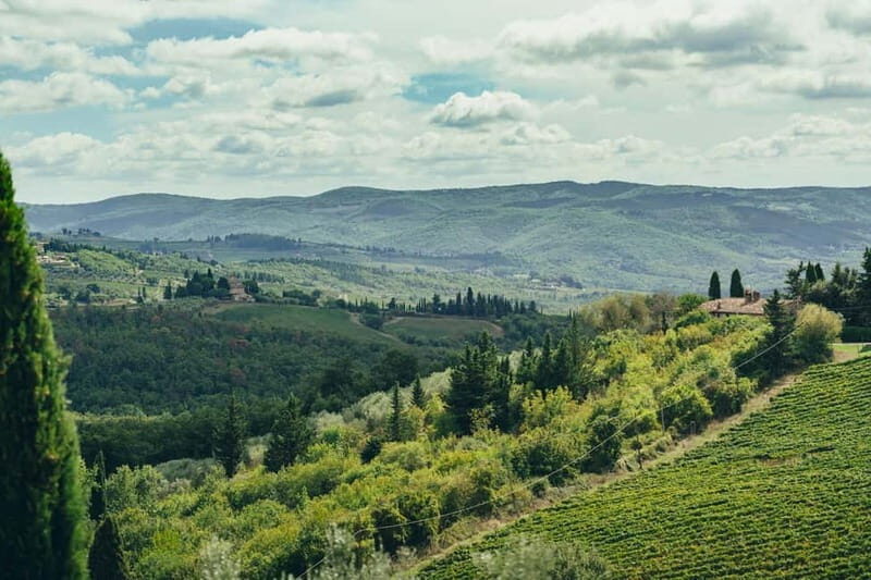 Florence: Chianti Secrets Wineries Tour With Lunch - Authentic Experiences and Local Insights